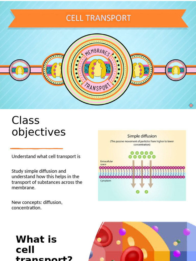 Cell Transport | PDF