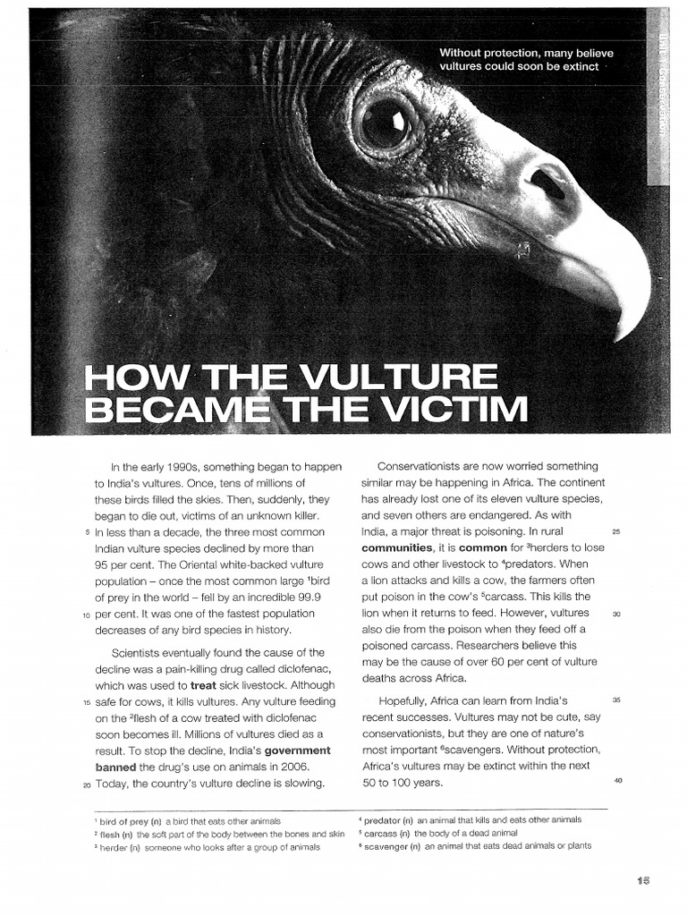 Teens B1 - Set 2.1 - 2 Copies | PDF