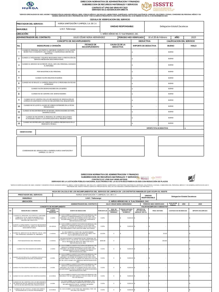 Verificación de Servicio Hurga 2025 | PDF