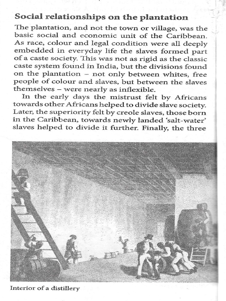 Life On The Plantation | PDF