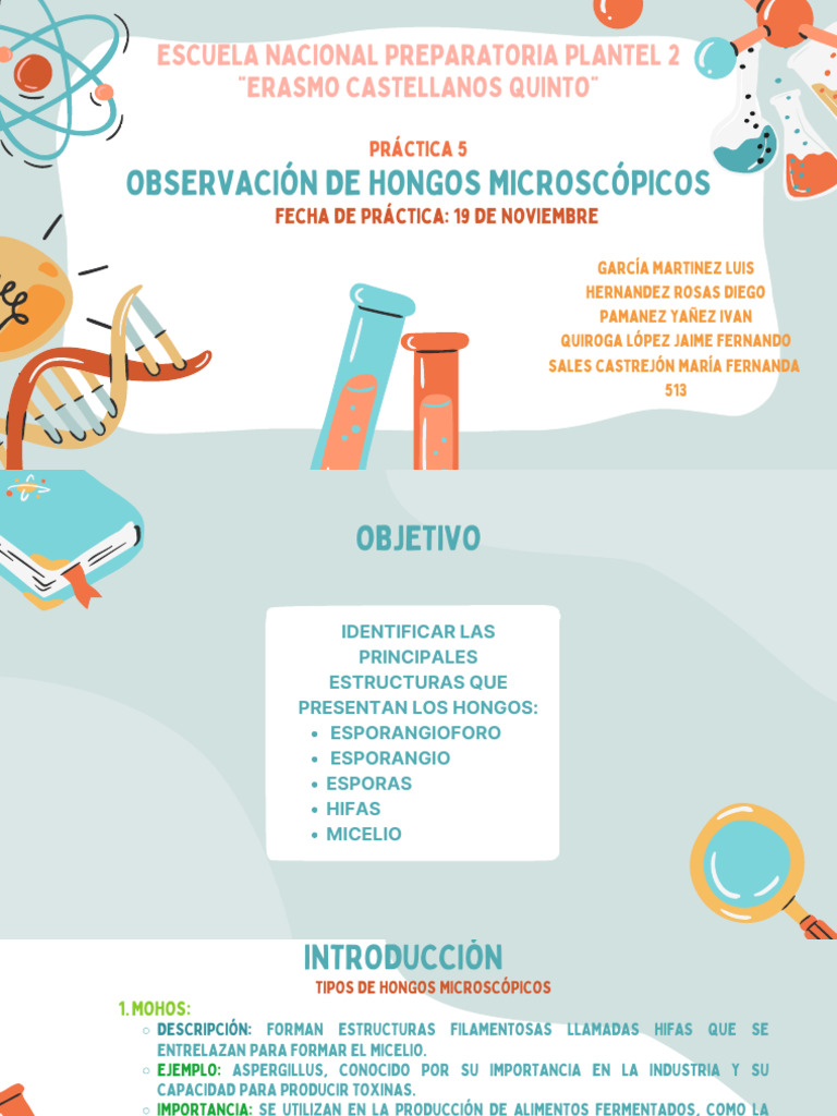 Práctica 5 - Eq2 | PDF | Hongo | Levadura