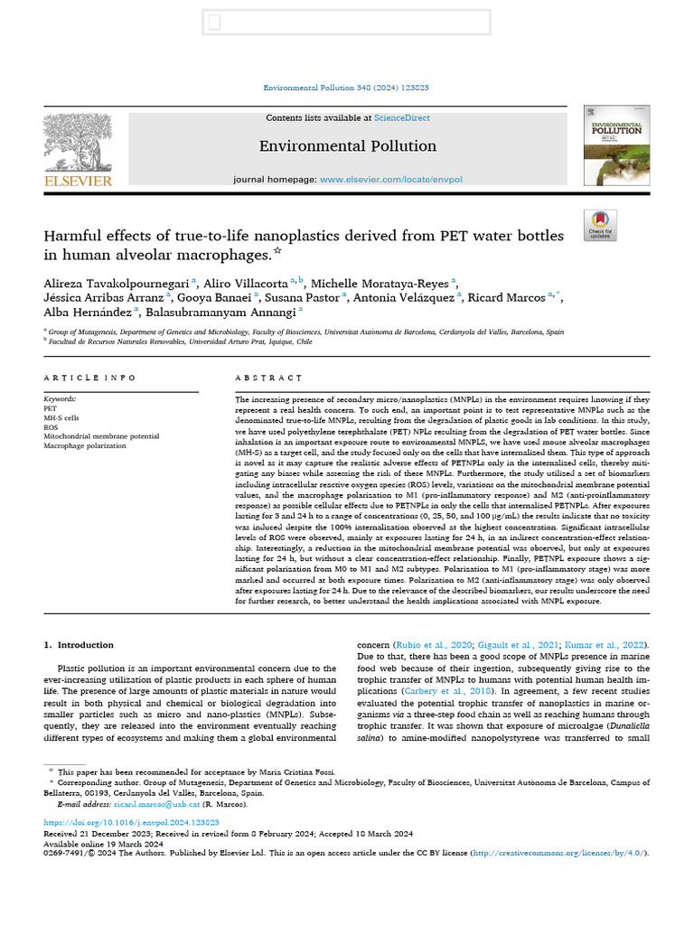 Harmful Effects of True-To-Life Nanoplastics Derived From PET Water ...