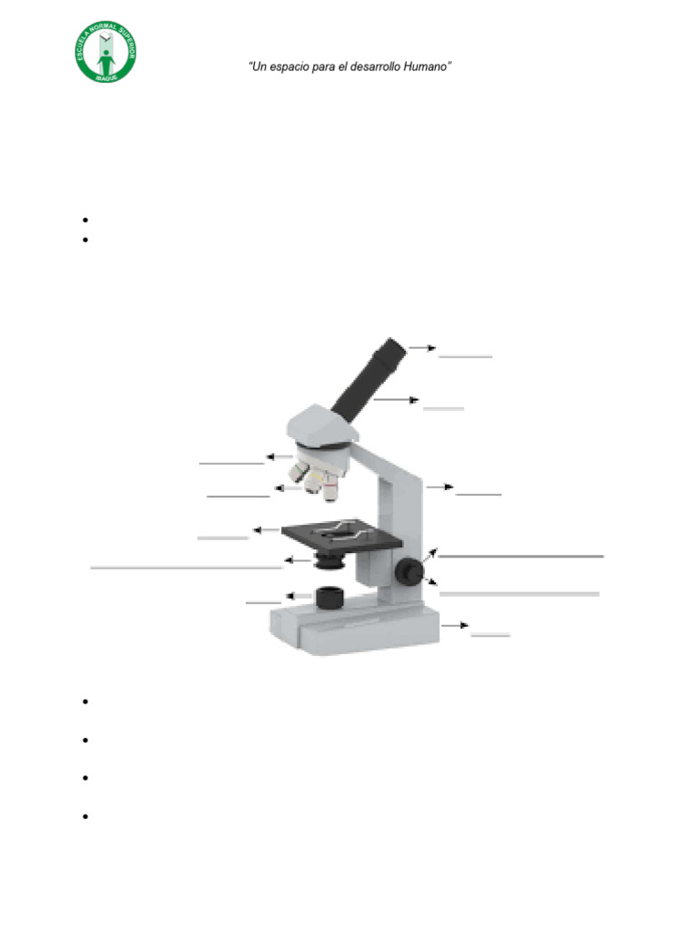 Partes y Usos del Microscopio | PDF