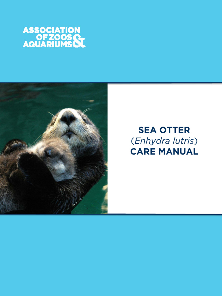 Sea Otter Care Manual Guide | PDF | Sound | Water