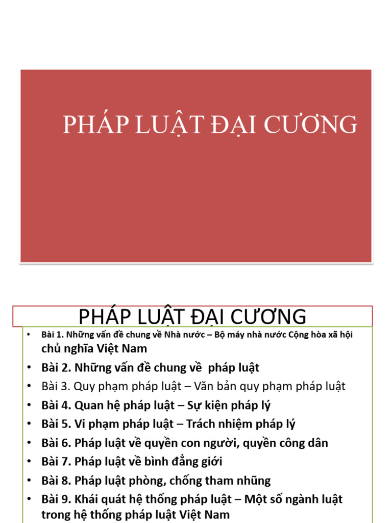 Bai 1-PLDC-2021 | PDF