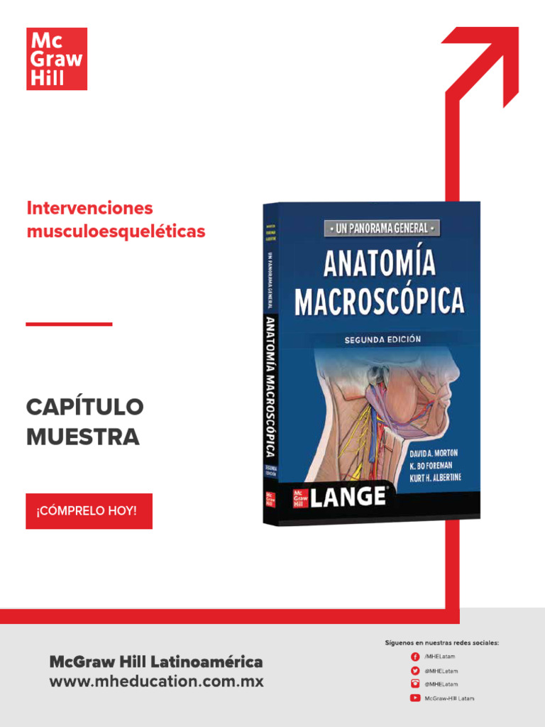 Chapter - Morton - Anatomía Macroscópica | PDF | Vértebra | La columna vertebral
