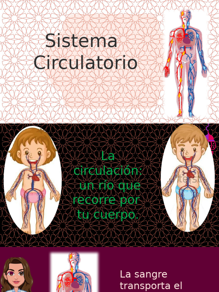 Sistema Circulatorio 5° | PDF | Corazón | Sistema circulatorio