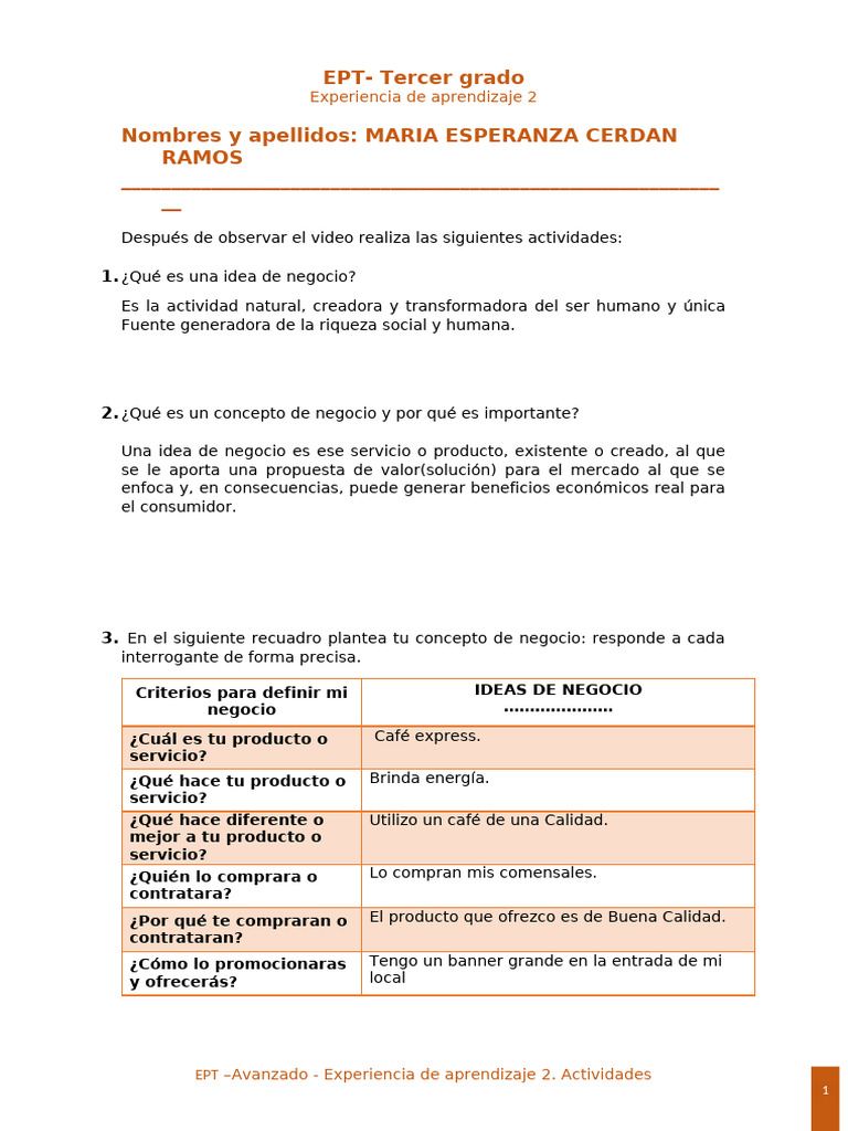 Actividad Concepto de Negocio | PDF