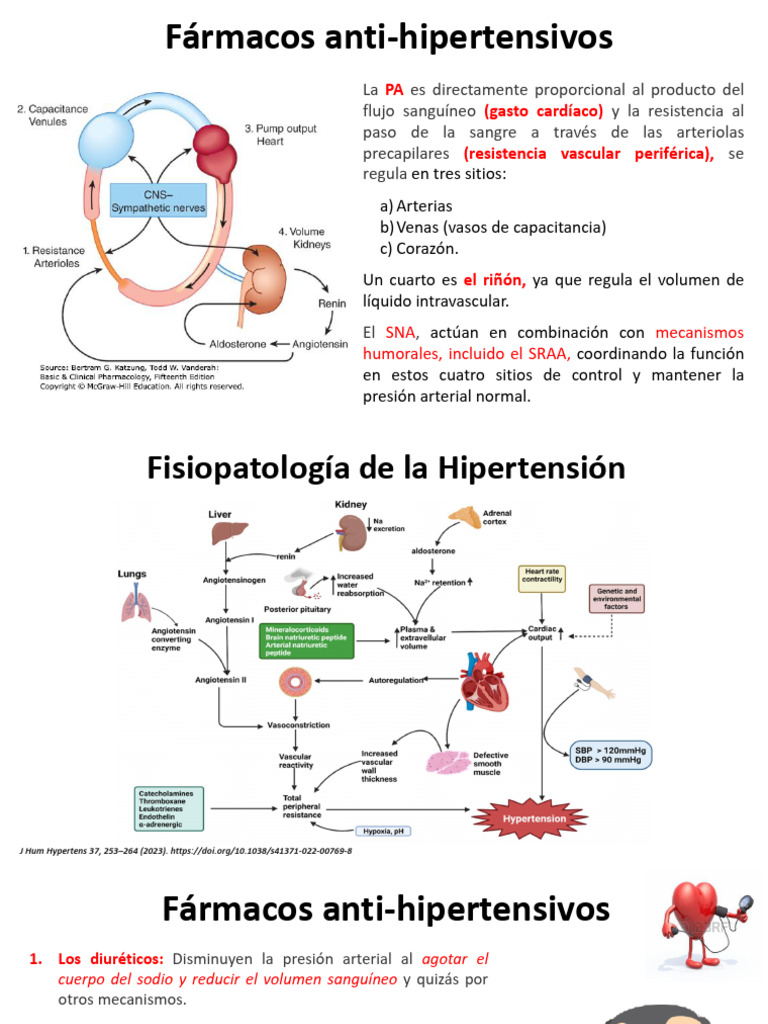 Fármacos y Mecanismos en Hipertensión | PDF | Hipertensión ...