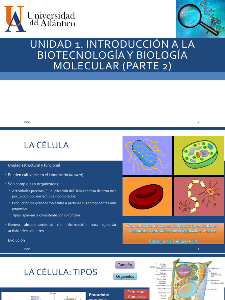 1.2. Unidad 1. Introduccion A La Biotec y Biomol (Parte 2) | PDF | Adn | Replicación De Adn