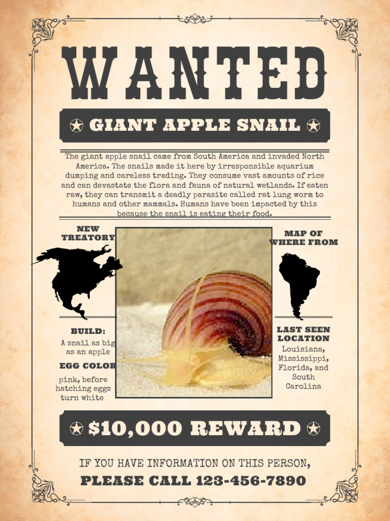 Giant Apple Snail Infestation Alert | PDF