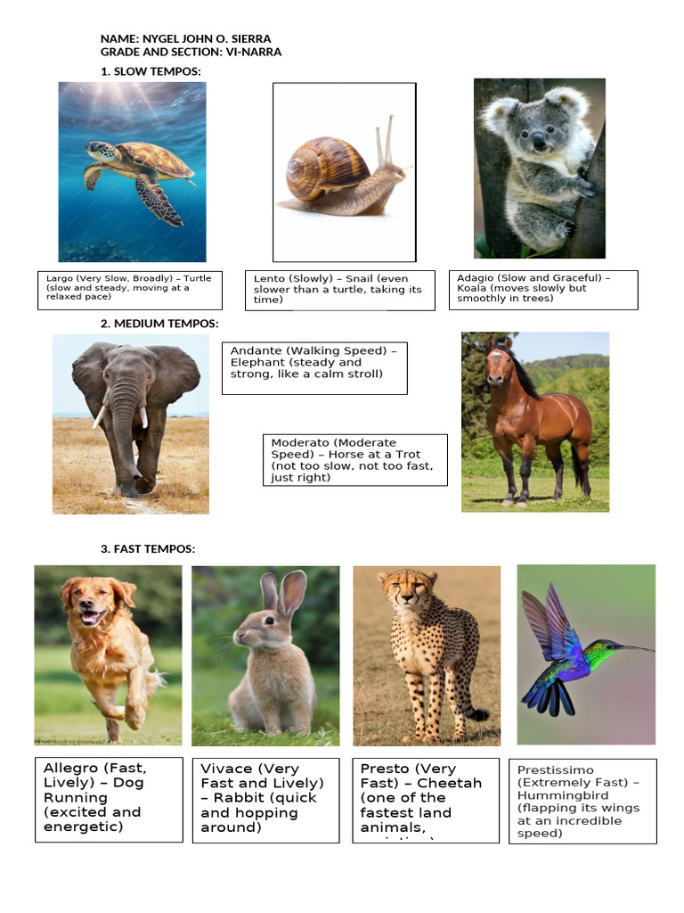 Type of Tempo Nygel | PDF