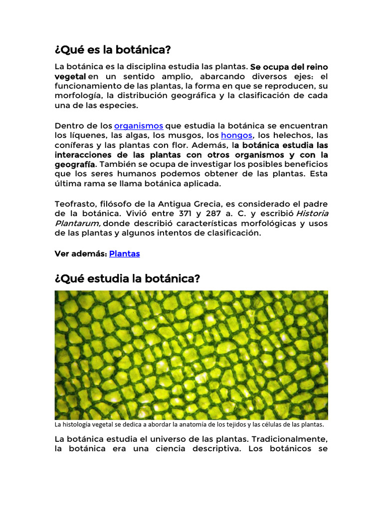 Introducción a la Botánica y sus Ramas | PDF | Botánica | Plantas