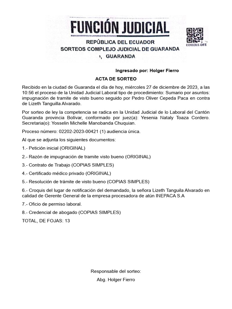 ACTA DE SORTEO Y CALIFICACION A LA DEMANDA | PDF | Justicia | Crimen y violencia