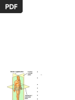 Anatomical Terms of Movement Explained | PDF | Anatomical Terms Of ...