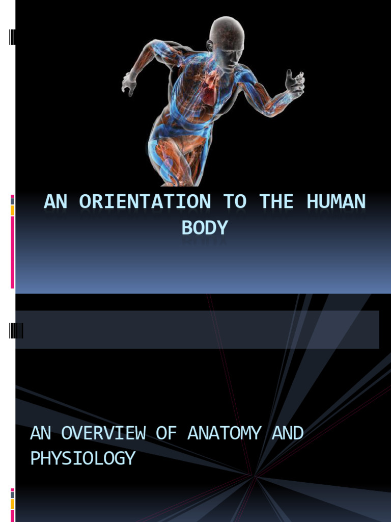 An Orientation To The Human Body | PDF | Human Body | Zoology