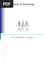The Skeletal System Answer Key | PDF