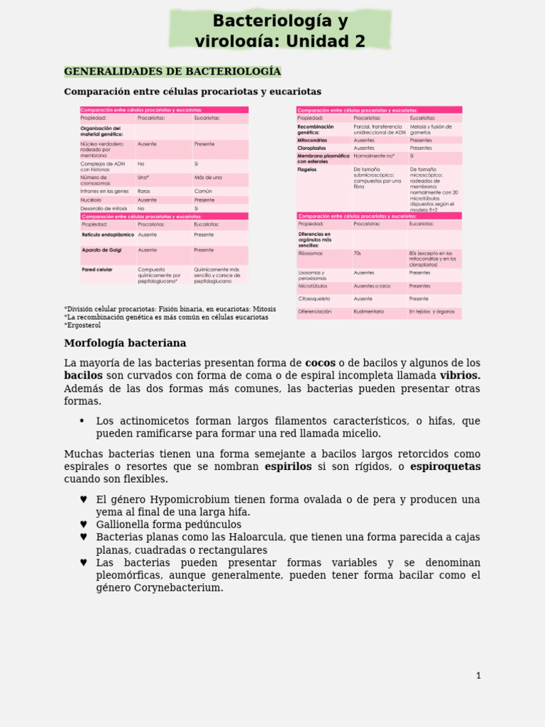 Unidad 2 Bacter | PDF | Gene | Las bacterias