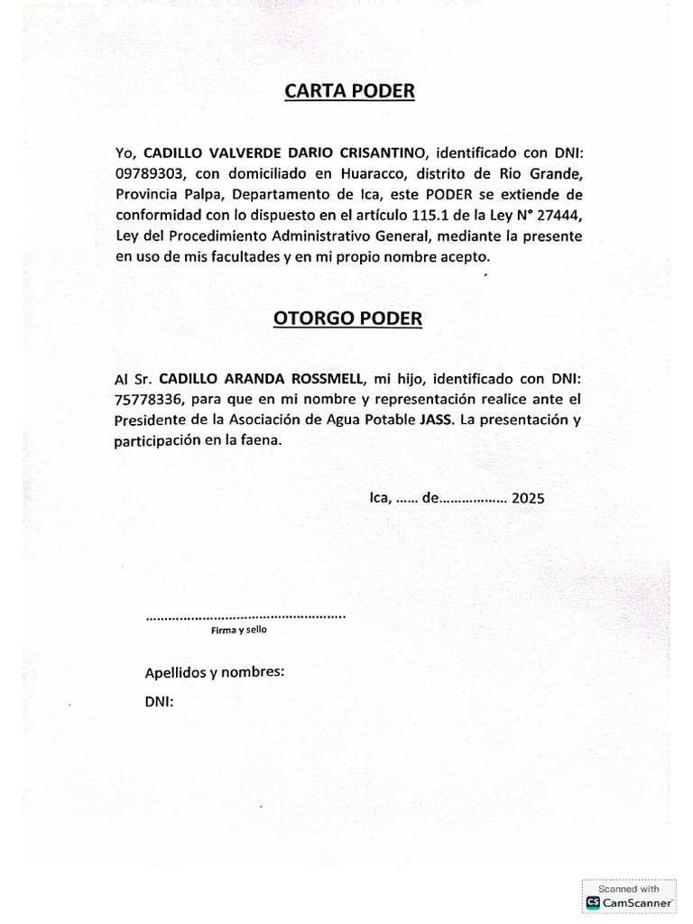 Carta Poder - Dario Cadillo | PDF