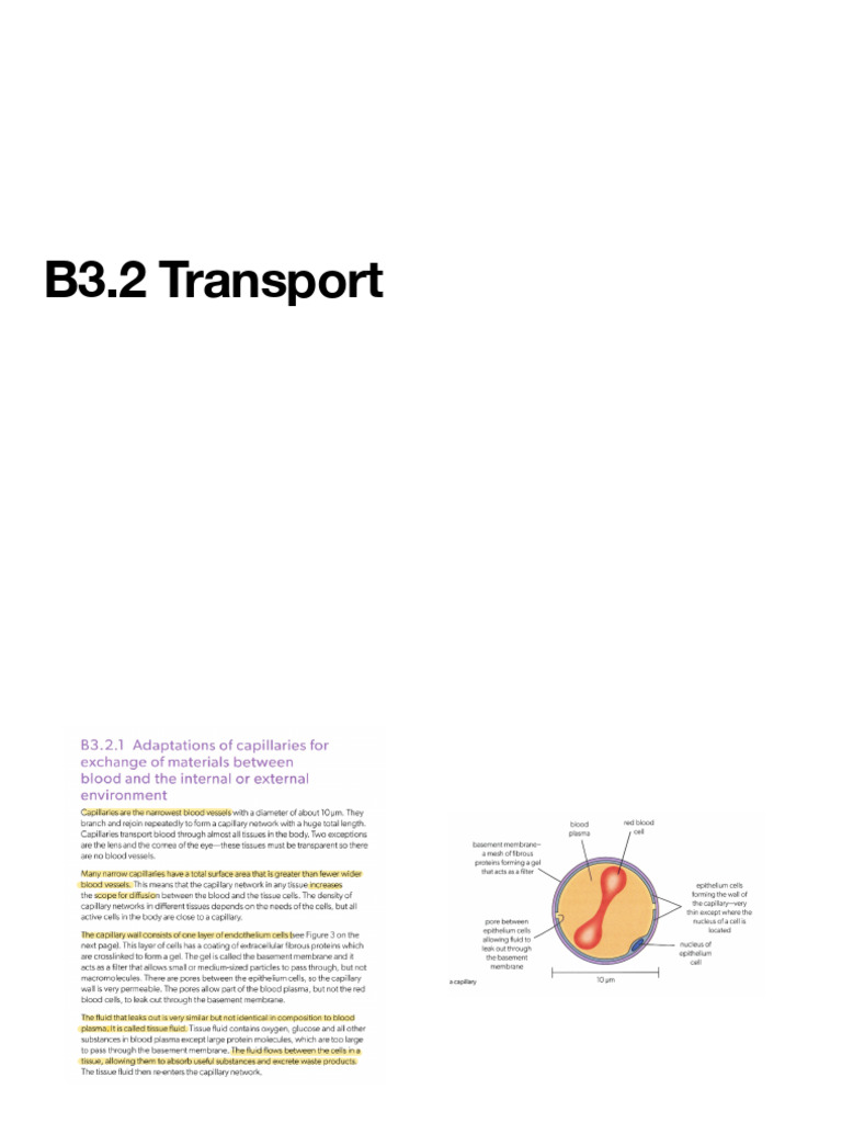 B3.2 Transport in IB Biology | PDF