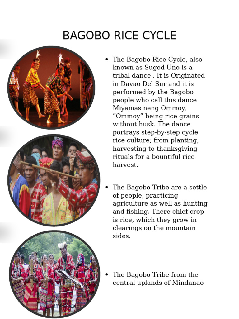 Bagobo Rice Cycle | PDF