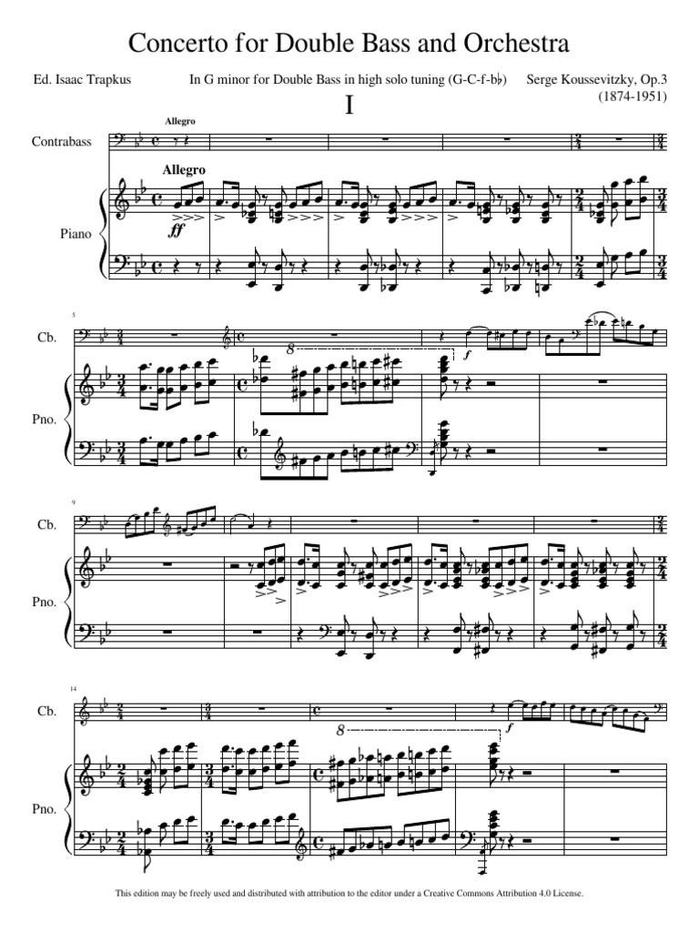 Concerto For Double Bass and Orchestra I: Allegro | PDF | Double Bass ...