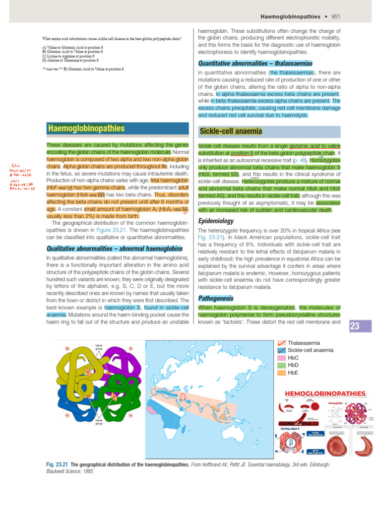 Understanding Haemoglobinopathies | PDF | Anemia | Tissue (Biology)