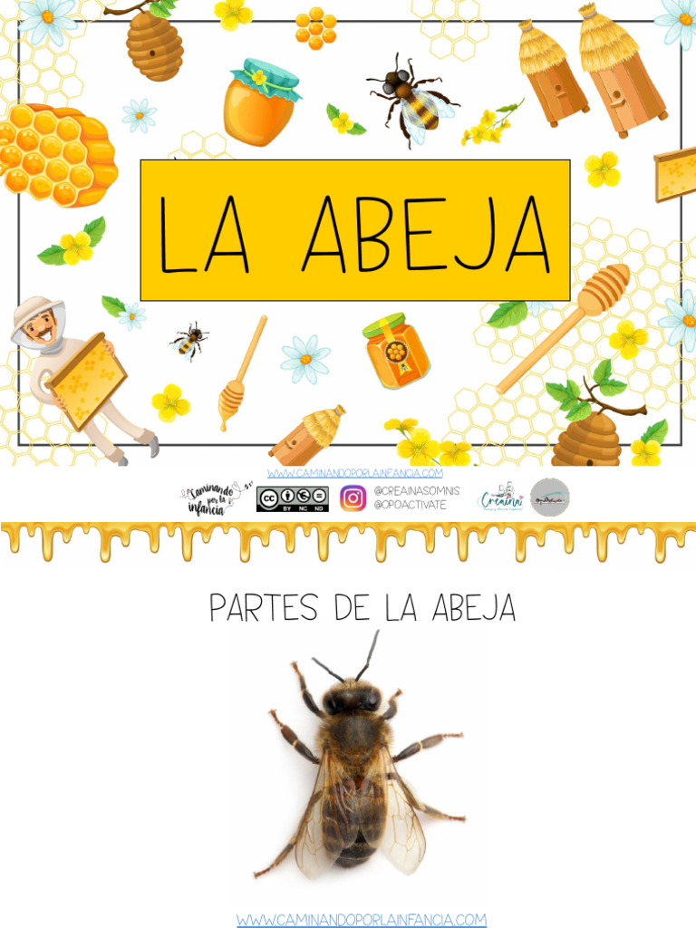LA-ABEJA | PDF