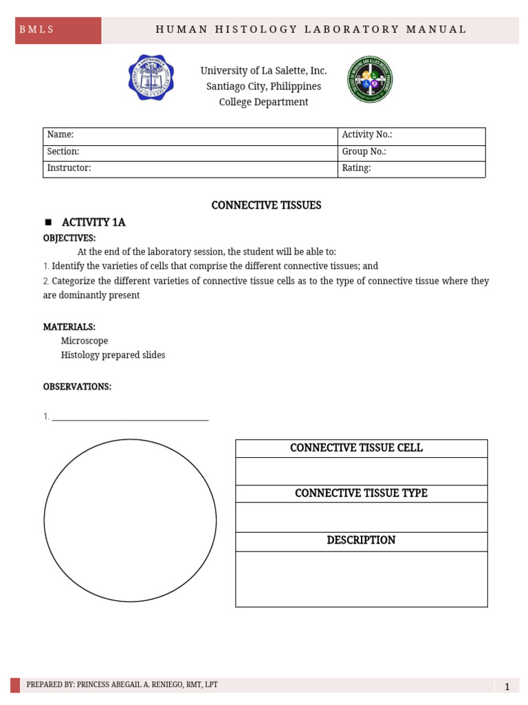 Human Histology Activity 3 | PDF | Tissue (Biology) | Connective Tissue