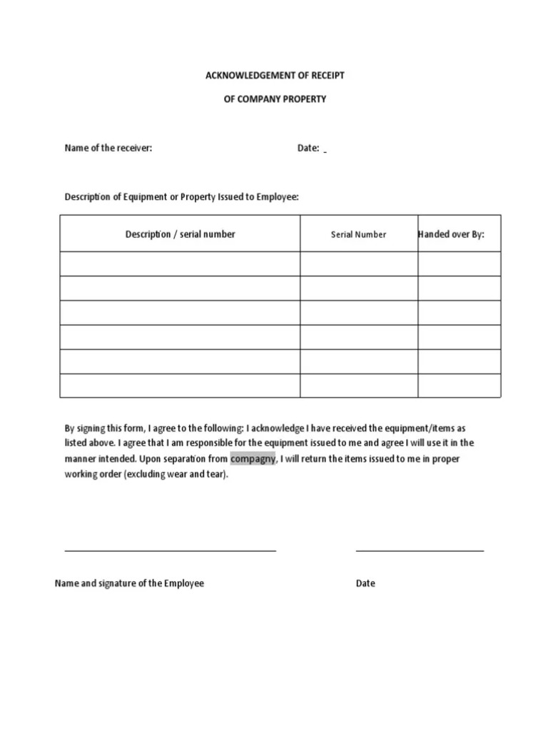 Company Asset Return | PDF