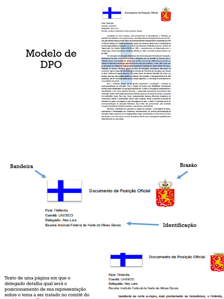 Modelo de DPO 2 | PDF