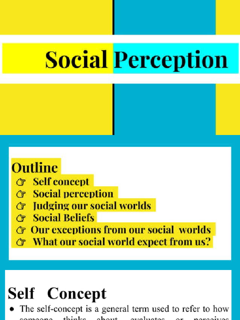 Social Perception | PDF