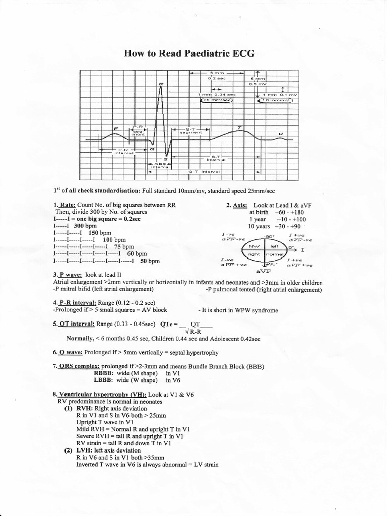 ECG Basics | PDF | Electrocardiography | Cardiovascular System