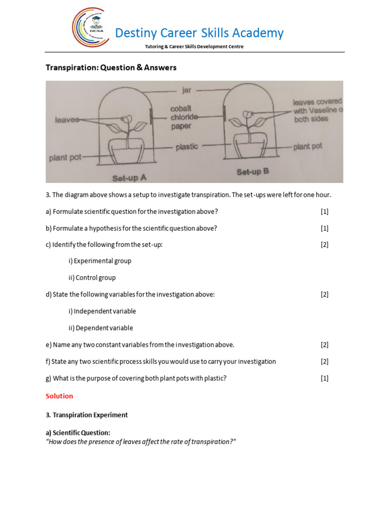 Transpiration Experiment | PDF | Stoma | Experiment