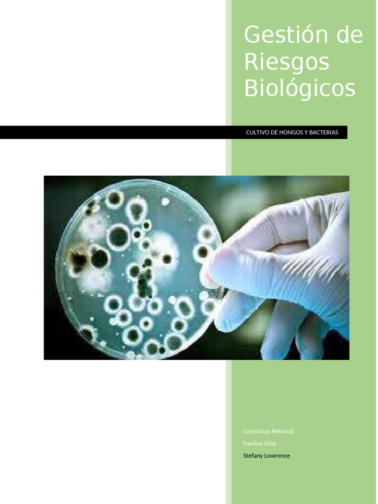 Informe Cultivo de Bacteria | PDF | Virus | Microorganismo