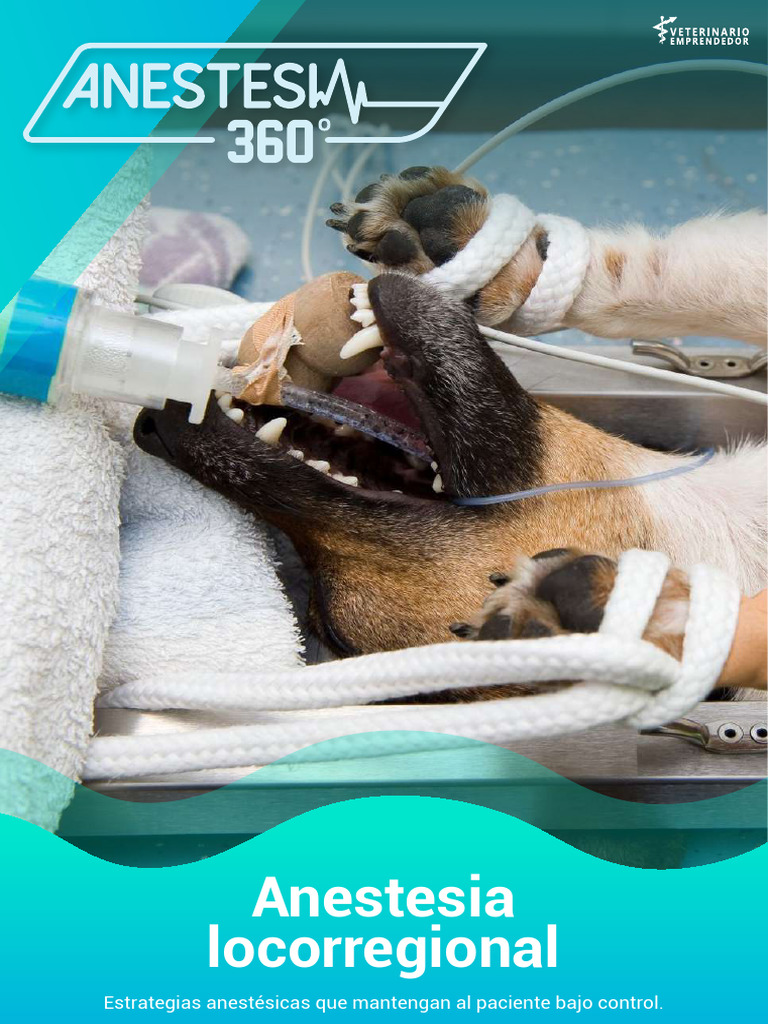 Anestesia Locorregionales Mas Usadas y Su Efecto | PDF | Anestesia ...