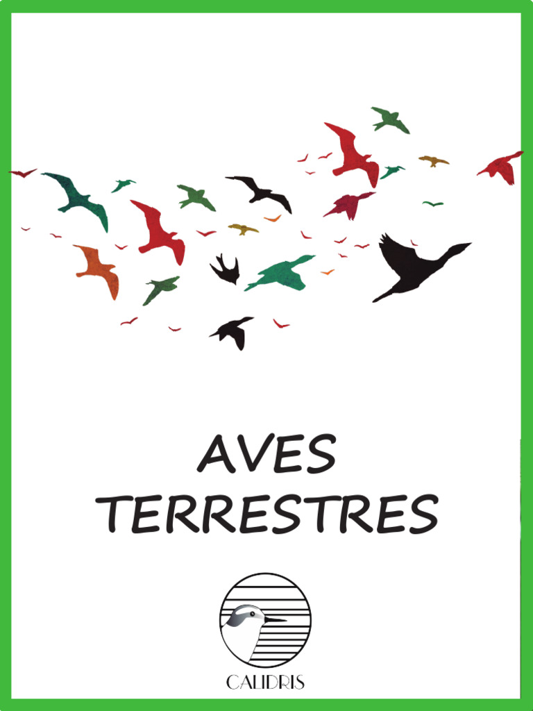 Aves Terrestres: Especies Destacadas | PDF