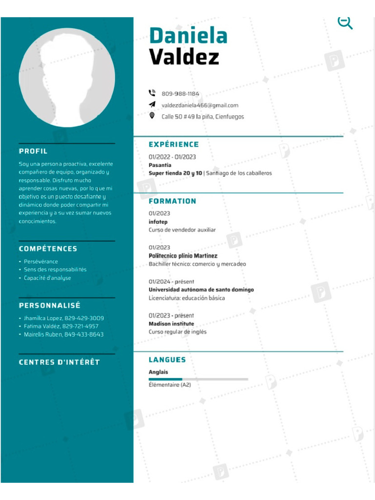 Curriculum Daniela | PDF