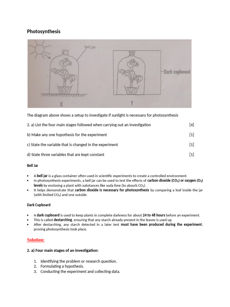 Photosynthesis Testing of Sunlight | PDF