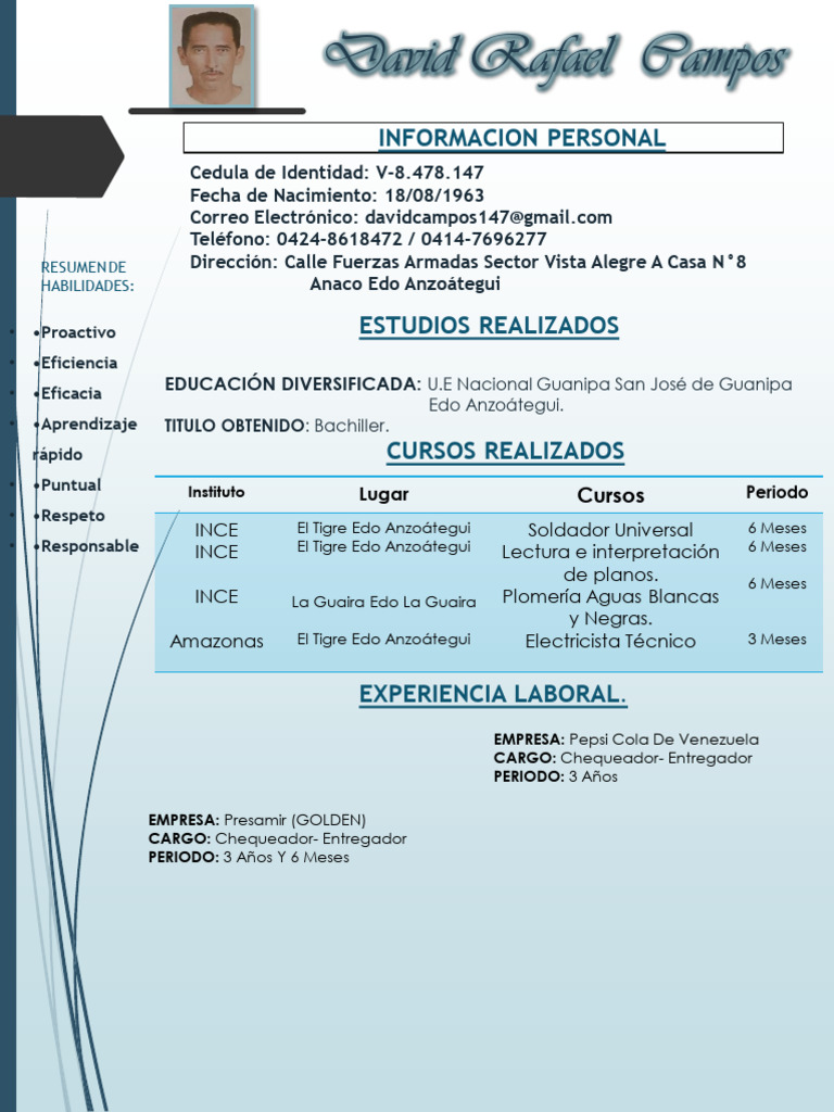 Curriculum David Rafael Campos | PDF