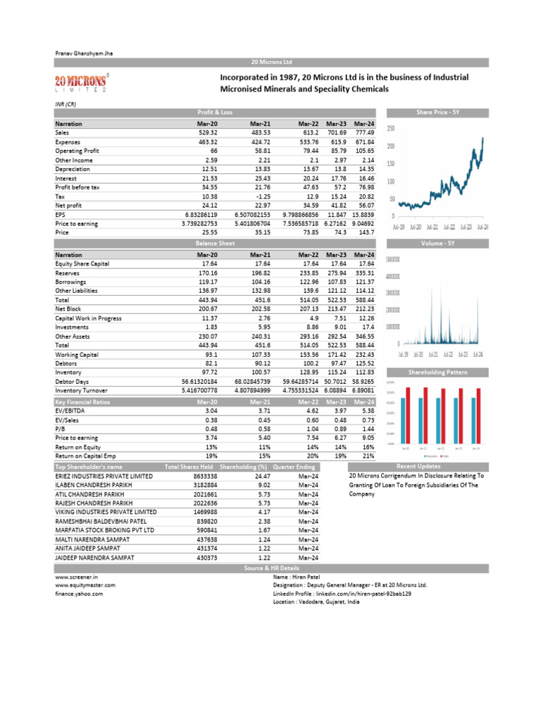 20 Microns Ltd Financial Overview 2024 | PDF | Income Statement ...