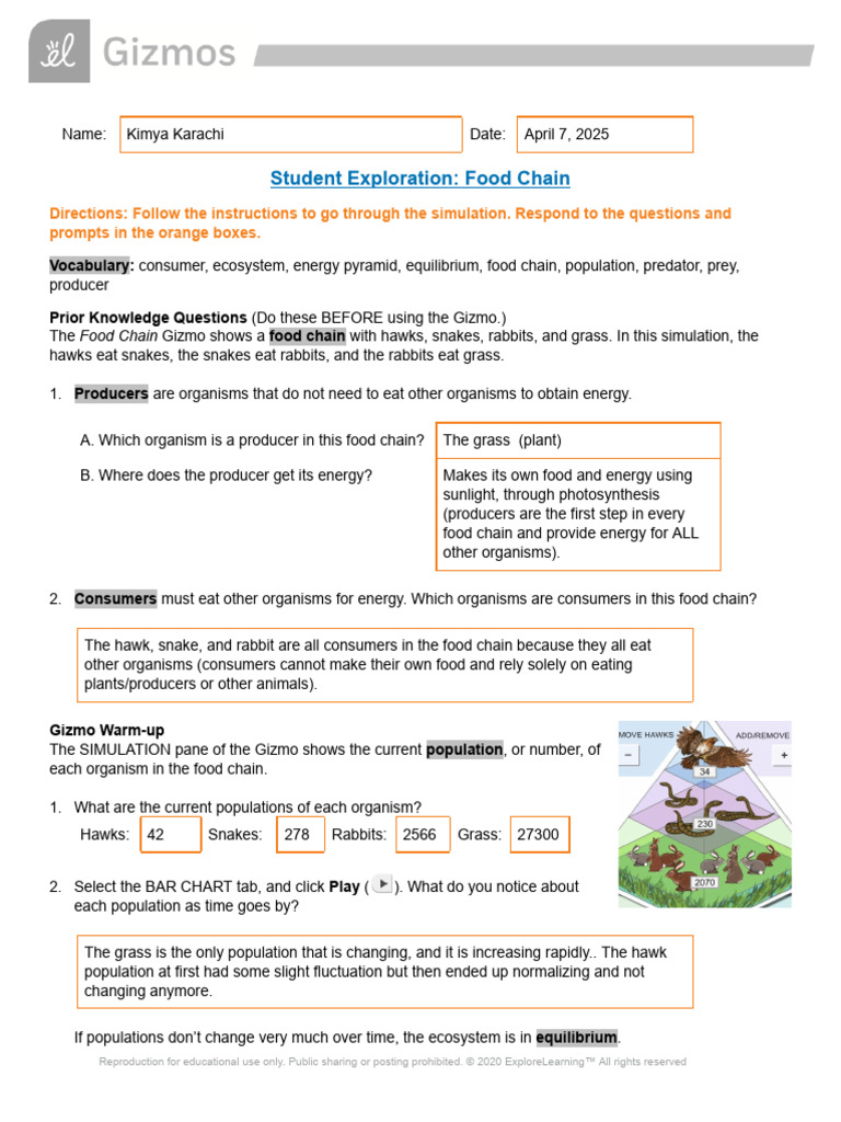 Section 04, Gizmos - Food Chain | PDF | Predation | Disturbance (Ecology)