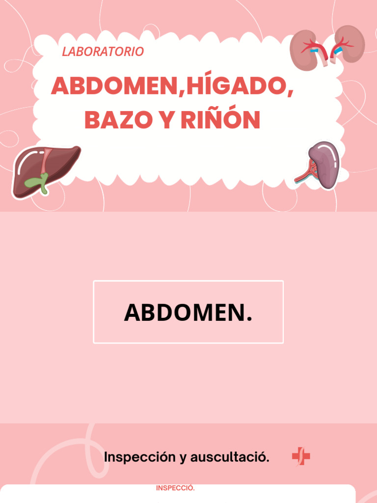 Maniobra de Mathieu en Exploración Abdominal | PDF | Abdomen | Bazo