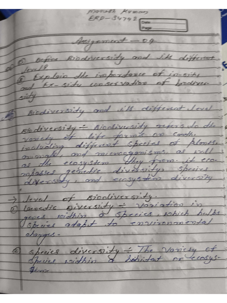 EVS Assignment 4 | PDF