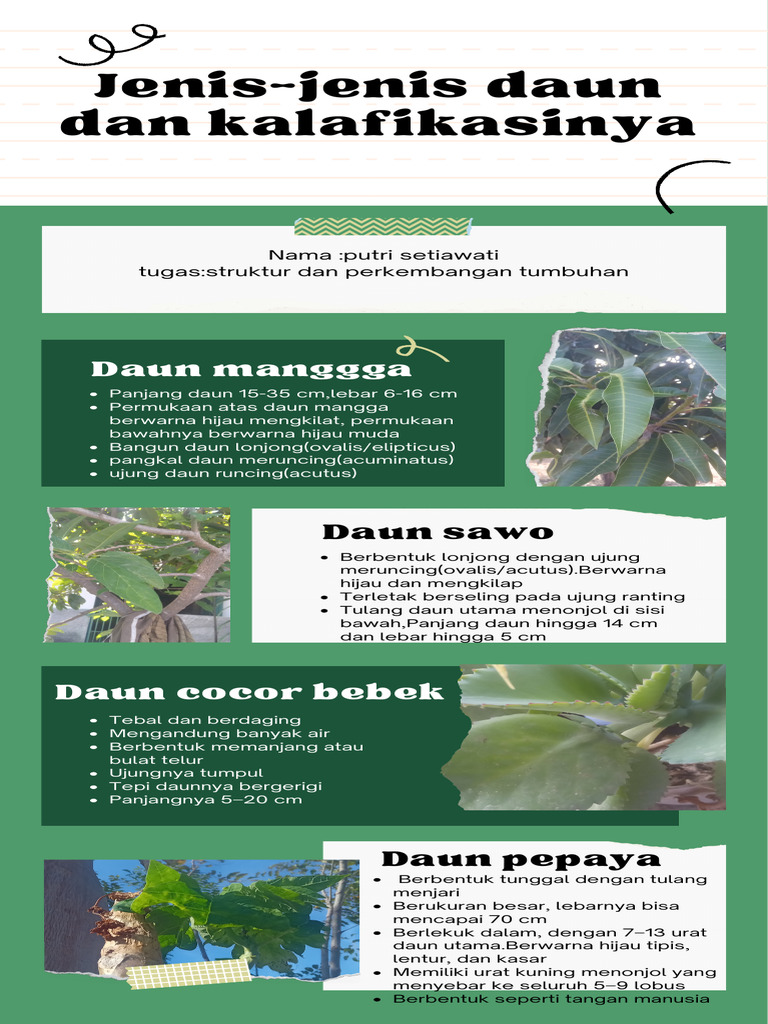 Plant Superpowers How They Adapt and Survive Education Infographic in ...