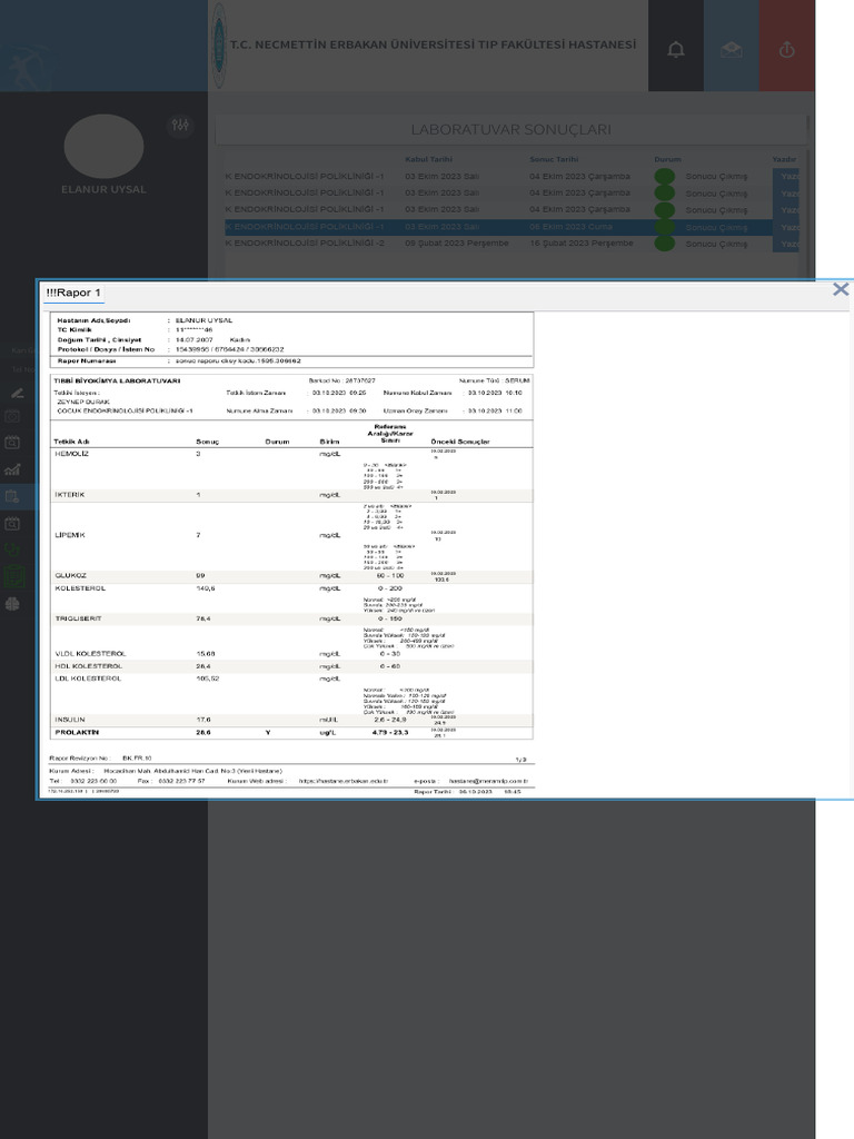 Mergen Tech Hasta Portalı | PDF