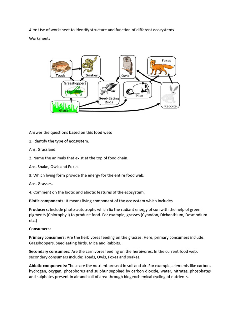 Practice Makes Me Feel Retro | PDF | Food Web | Ecosystem