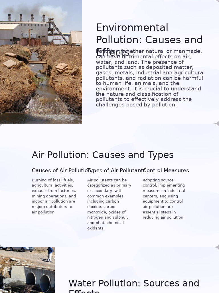 Understanding Environmental Pollution | PDF | Pollution | Air Pollution