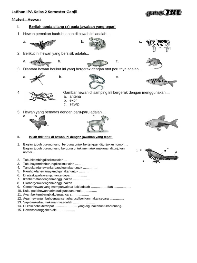 Latihan IPA Kelas 2 | PDF