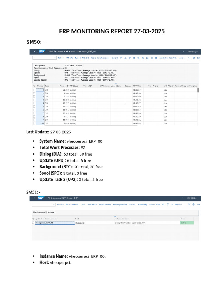 Erp Monitoring Report 27-03-20251 | PDF